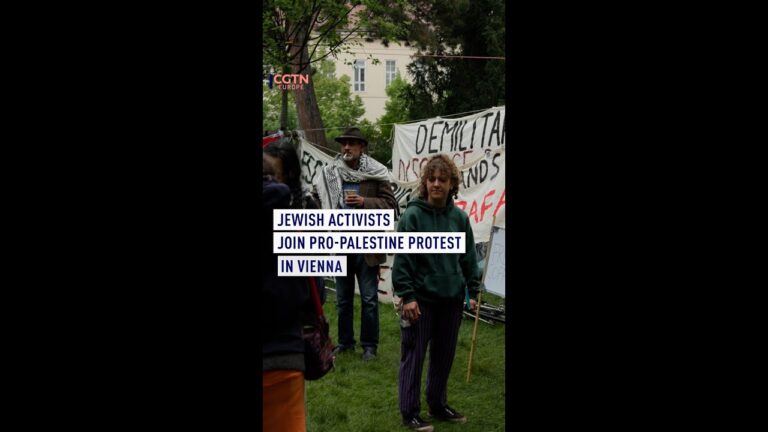 Levata di Protesto: Guida Completa e Significato della Procedura Legale ...
